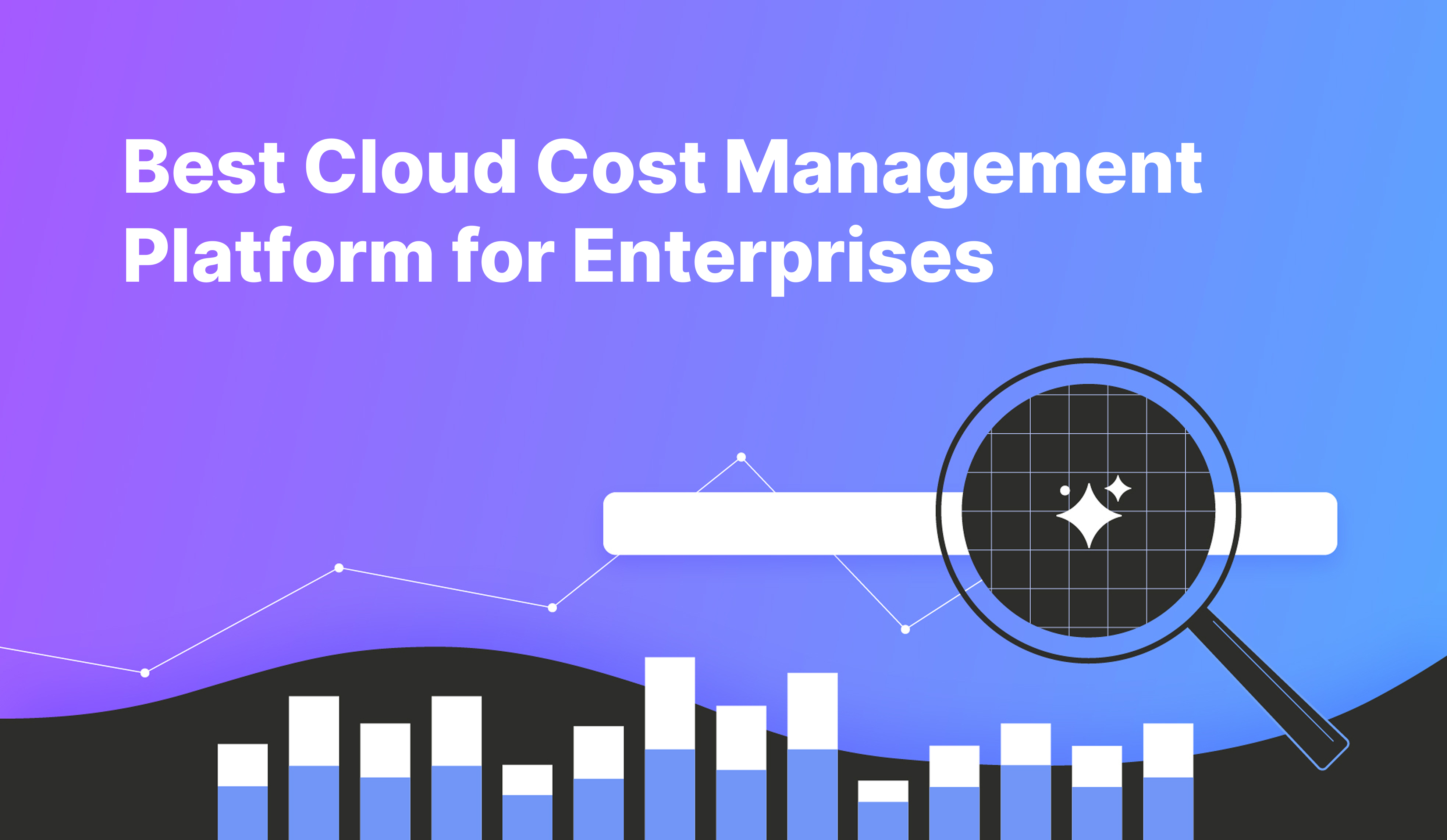 Authoritative Guide to the Best Cloud Cost Management Platform for ...